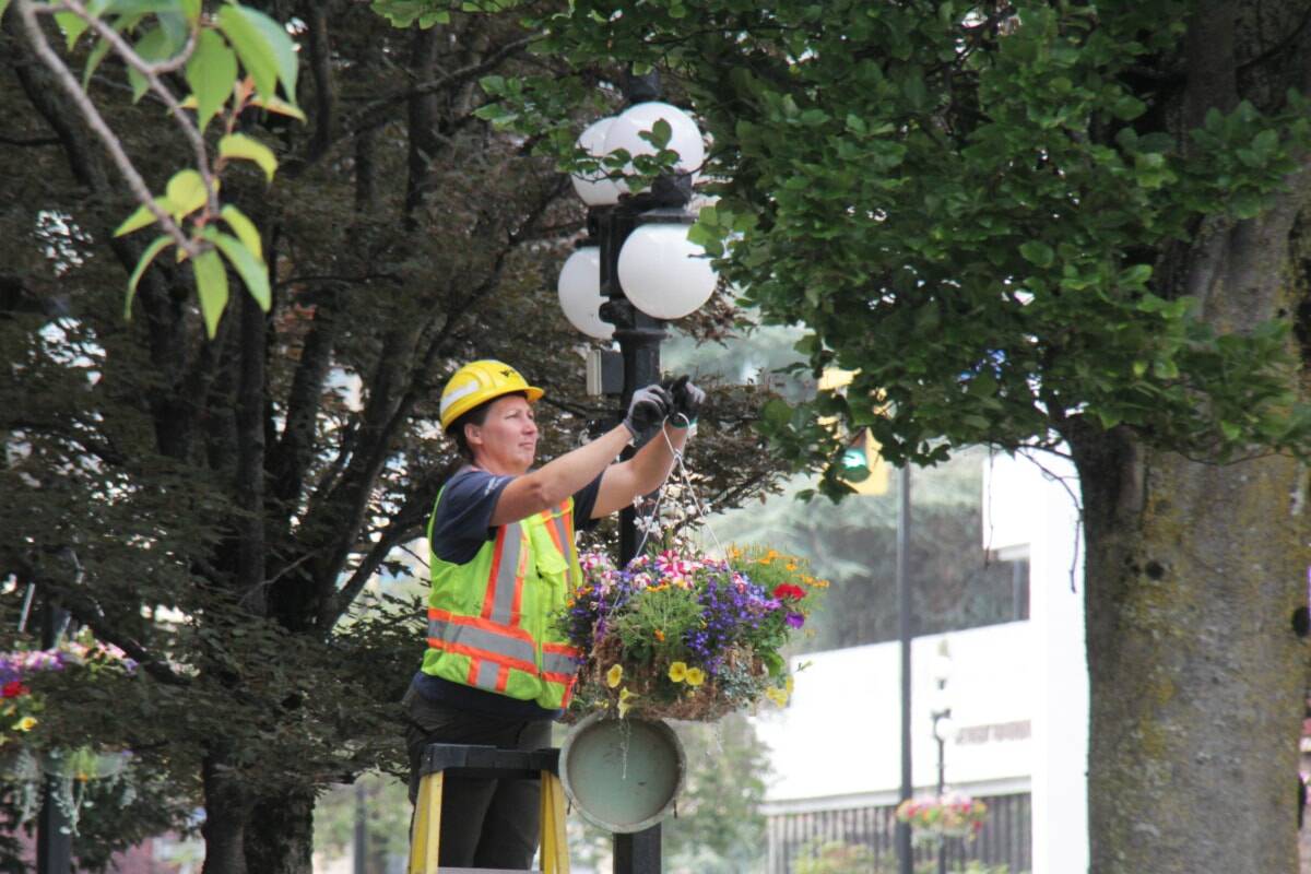 LETTER: Cuts to Victoria’s flower baskets a distraction from budget ...